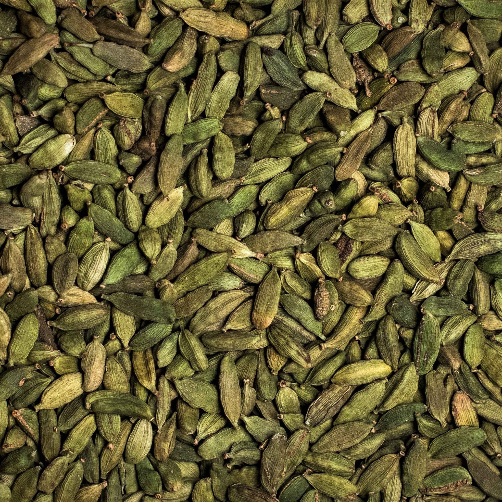 Kruiden – Botanicaspices