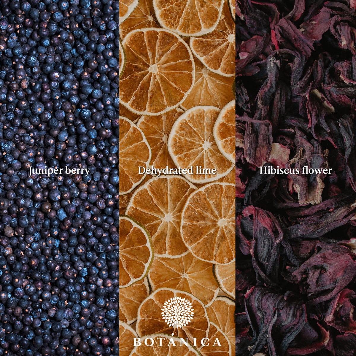 Botanicals Ginkruiden 6 soorten (mix 1) – Botanicaspices