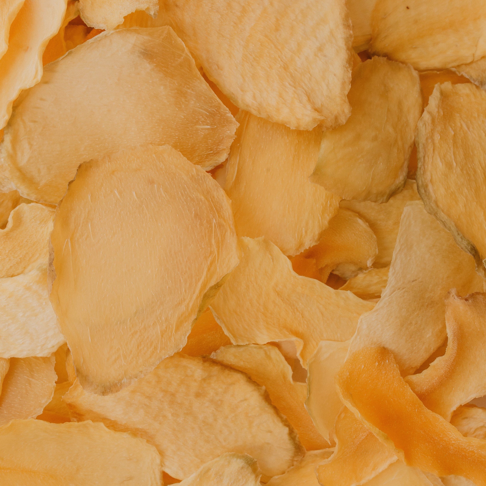 Gedroogd fruit – Botanicaspices