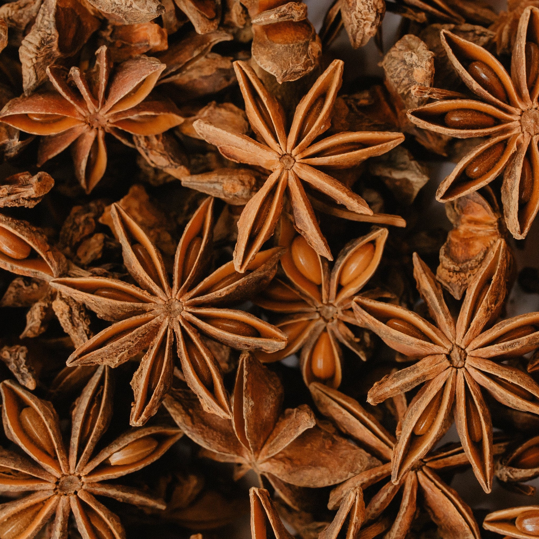 Kruiden – Botanicaspices