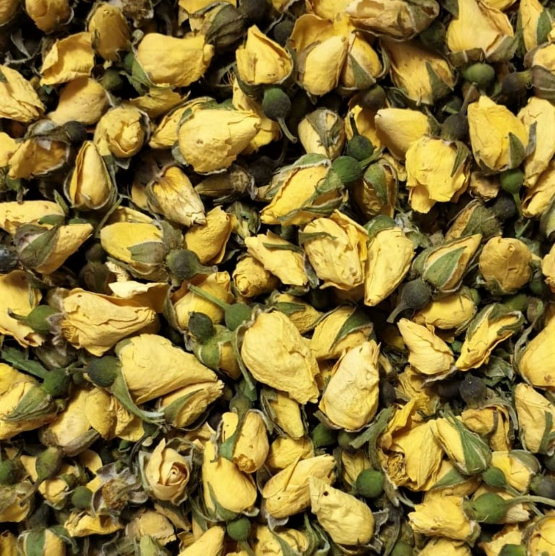 Kruiden – Botanicaspices